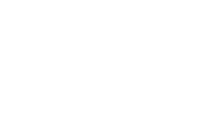 Services – Digital Cactus